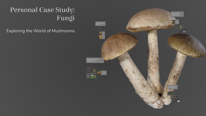 Personal Case Study: Fungi by Ruby Harris on Prezi