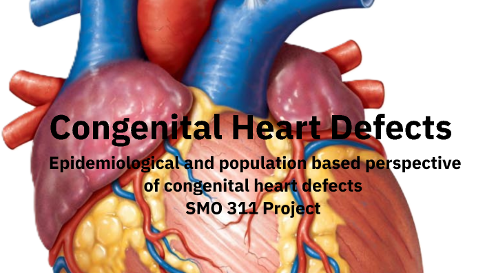 SMO 311 Project Congenital Heart Defects by Asande Mthethwa on Prezi