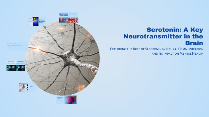 Serotonin: A Key Neurotransmitter in the Brain by Lindsey Hile on Prezi