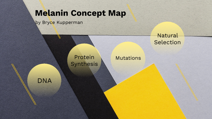 Melanin Concept Map by Bryce Kupperman on Prezi