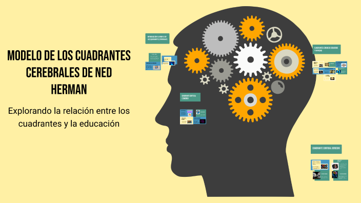 Modelo de los Cuadrantes Cerebrales de Ned Herman by Norma García on Prezi