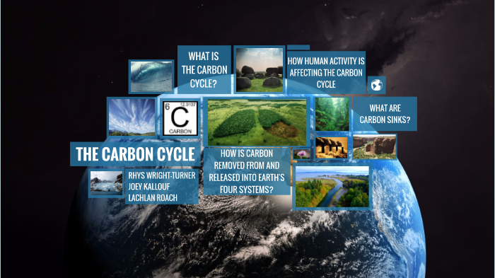 The Carbon Cycle by Rhys Wright-Turner on Prezi