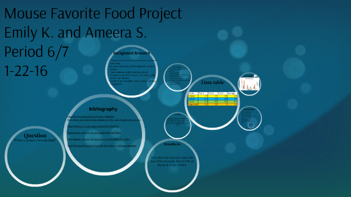 Mouse Favorite Food Project by Emily kocovski on Prezi