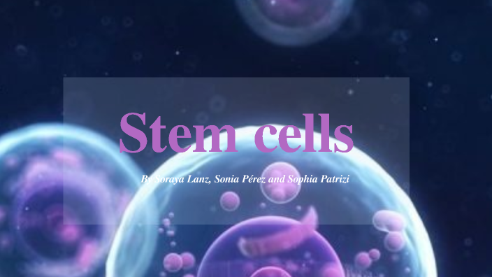 Stem cells by sophia Patrizi on Prezi