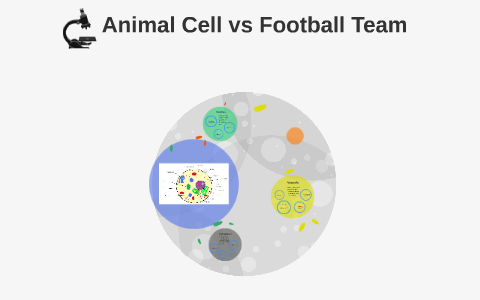 Animal Cell vs Football Team by Peyton Bray on Prezi