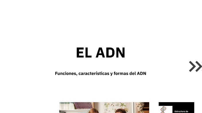 EL ADN by Camilo Rt on Prezi