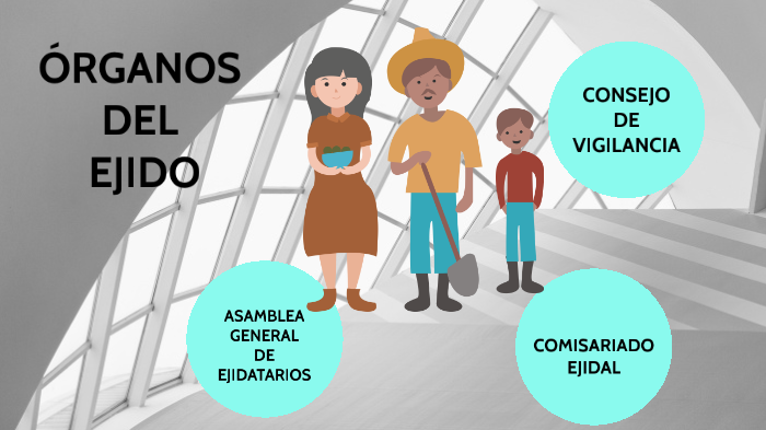 ÓRGANOS DEL EJIDO by Maria BONHERZ on Prezi