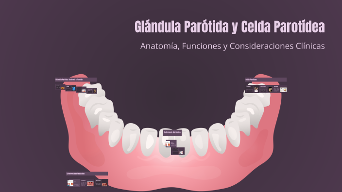 Glándula Parótida y Celda Parotídea by jimenez on Prezi