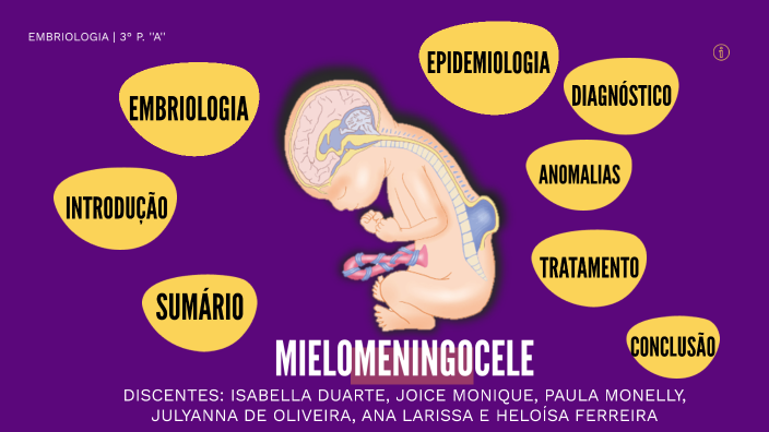 Mielomeningocele - Embriologia by Isabella Duarte on Prezi