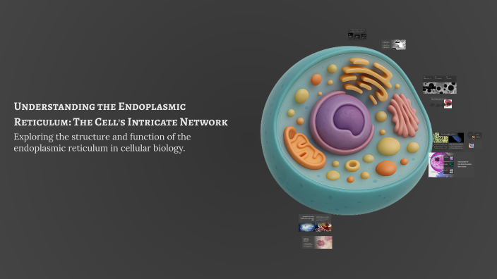 Understanding the Endoplasmic Reticulum: The Cell's Intricate Network ...