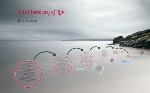 Enzymes by Aileen Marr on Prezi
