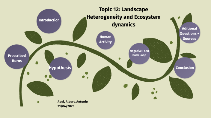 Topic 12: Landscape Heterogeneity and Ecosystem dynamics by Abel De La ...