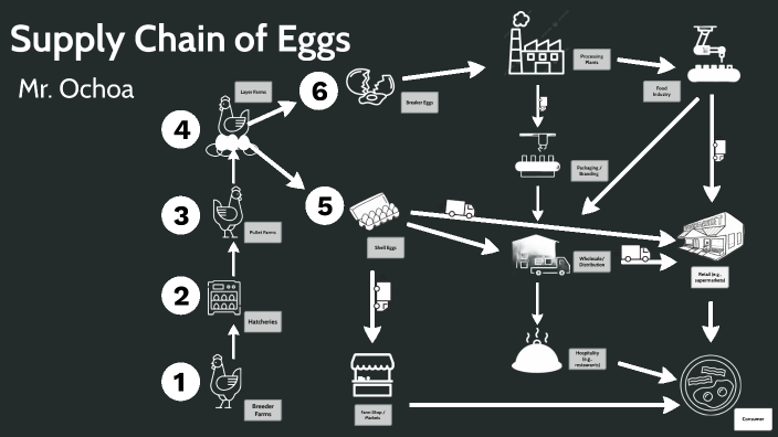 Egg Supply Chain by JUAN OCHOA on Prezi