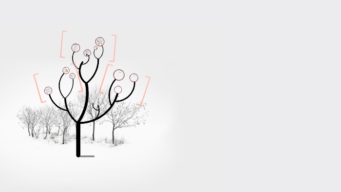 Nutrition infants need by Sarah Nehme on Prezi