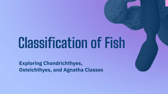 Classification of Fish by COLIN FULTON on Prezi