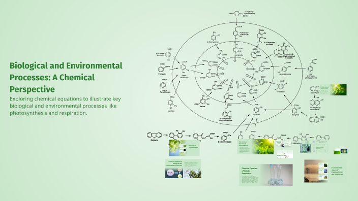 Biological and Environmental Processes: A Chemical Perspective by ...