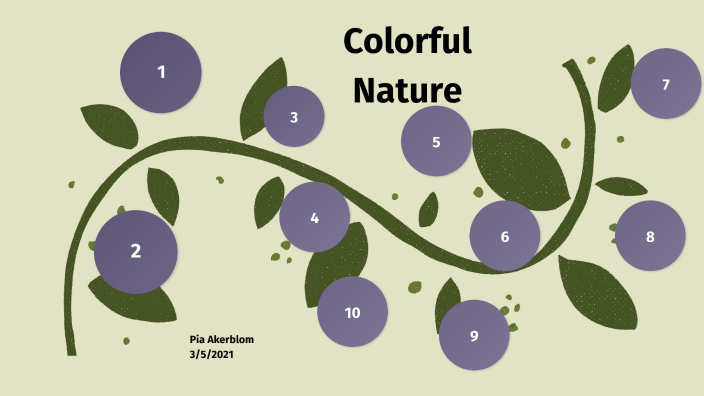 Forrest Gump Activity by Pia Akerblom on Prezi