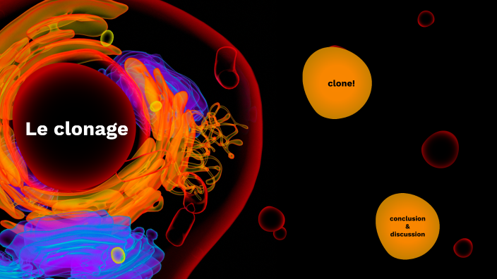 LE CLONAGE by HICHAM HICHAM on Prezi