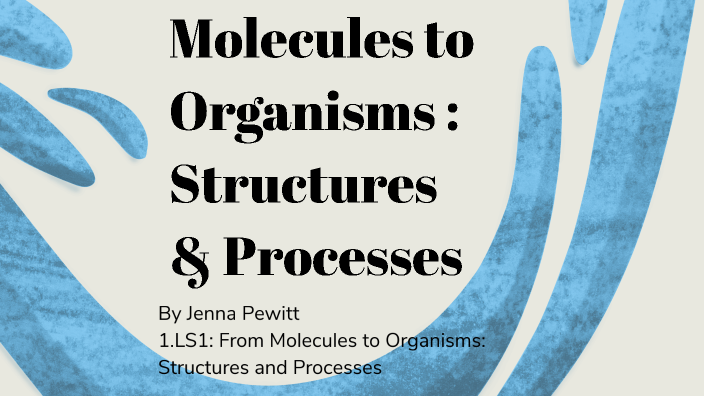 Molecules to Organisms: Structures and Processes by Jenna Pewitt on Prezi