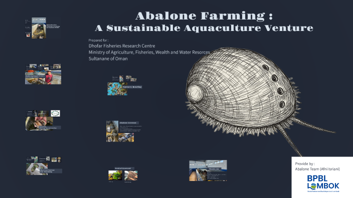 Abalone Farming: A Sustainable Aquaculture Venture by Afni Isriani on Prezi