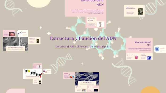 Estructura y Función del ADN by Santiago Flores on Prezi