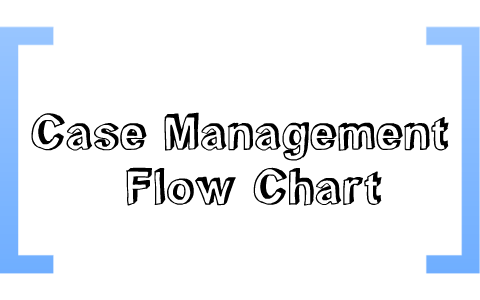 Case Management Flow Chart by Philip sahaayaruban on Prezi
