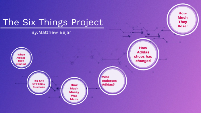 The Six Things Project by Matthew Bejar on Prezi