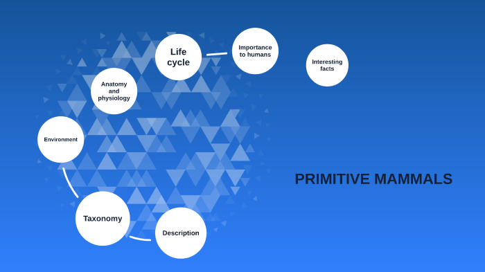 Primitive mammals by tyrion chase on Prezi