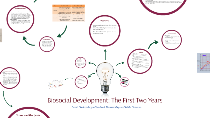 Biosocial Development: The First Two Years by Morgan Shadwell on Prezi
