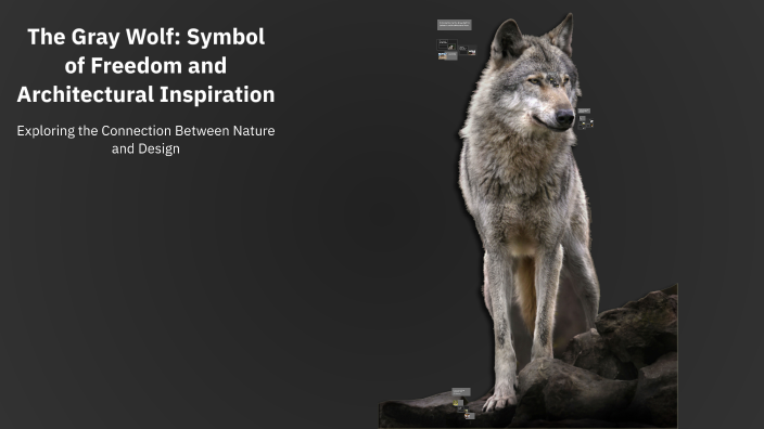The Gray Wolf: Symbol of Freedom and Architectural Inspiration by Kolda ...