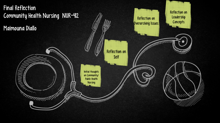Final Reflection by Maimouna Diallo on Prezi