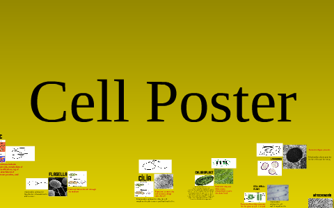 Digital Cell Poster Project by Madeline Moran on Prezi