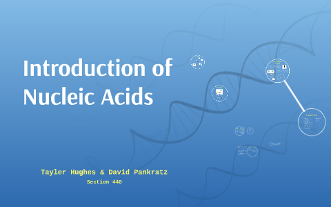 Introduction to Nucleic Acids by Tayler Hughes on Prezi