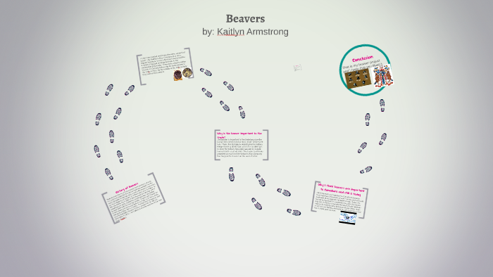 Beavers by Rob Katz on Prezi