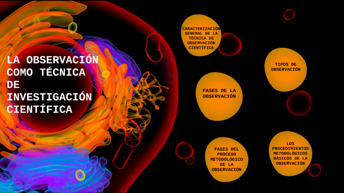 LA OBSERVACIÓN COMO TÉCNICA DE INVESTIGACIÓN CIENTÍFICA by angel ...