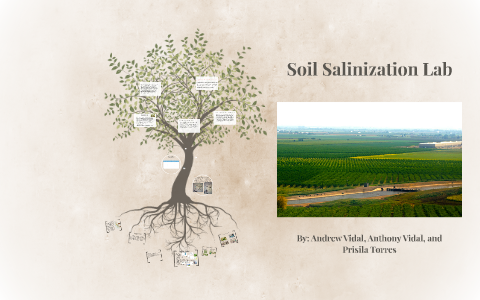 Soil Salinization Lab by Prisila Torres on Prezi