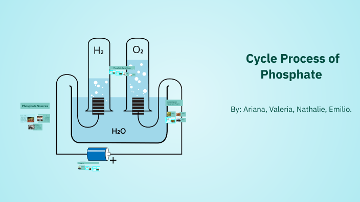 The Animated Cycle Process of Phosphate by Ariana Chavez on Prezi