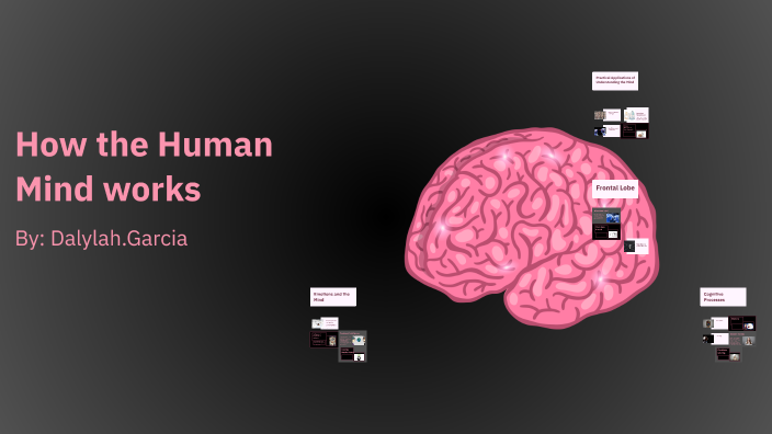 Understanding the Human Mind by Dalylah Garcia on Prezi