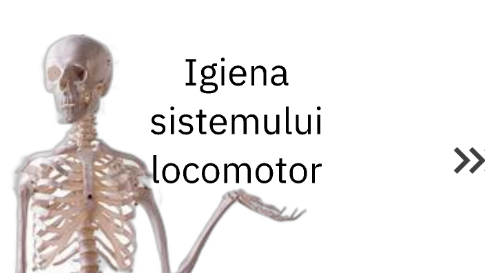 by Alexandra Nicolescu on Prezi