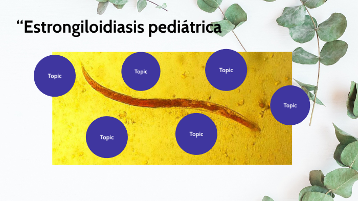 Estrongiloidiasis pediátrica by stiven aguiar on Prezi