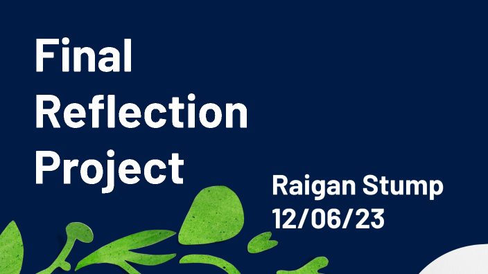 BUAD Final Reflection Project by Raigan Stump on Prezi