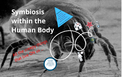 Symbiosis in the Human Body by Veronica Bone on Prezi