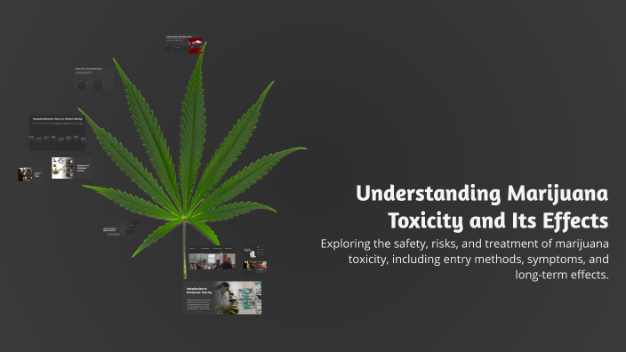 Understanding Marijuana Toxicity and Its Effects by wylie bales on Prezi