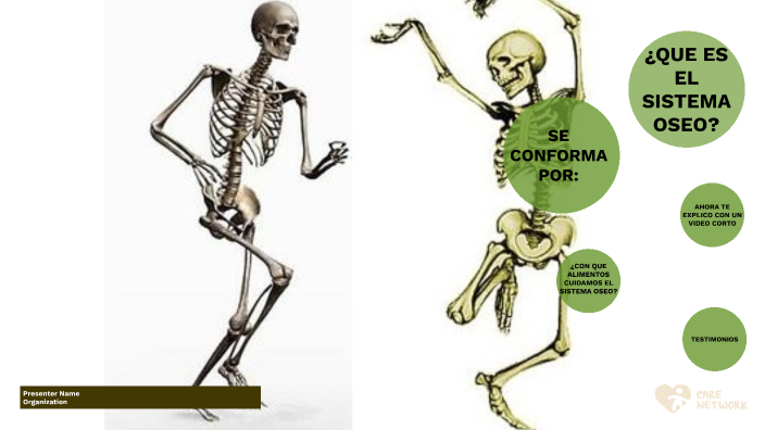 Sistema Oseo by Diana Santacruz on Prezi