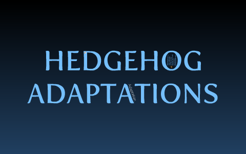 HEDGEHOG ADAPTATIONS! by Hannah Jaskowski on Prezi