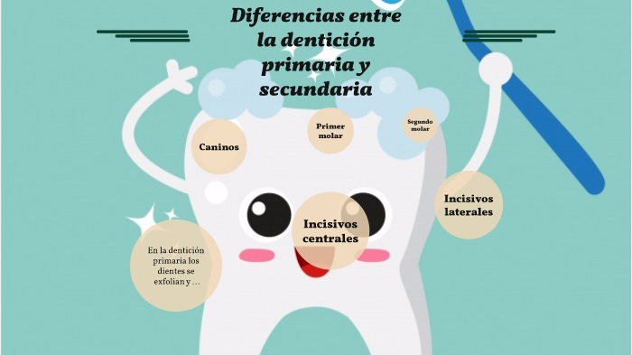 -Dentición primaria y secundaria by Cynthia Balcázar on Prezi