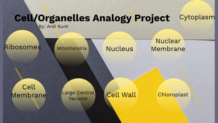Cell/Organelles Analogy Project by Ardi Kurti on Prezi