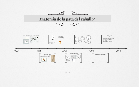 Anatomía de la pata del caballo*; by Francisco Cruz on Prezi