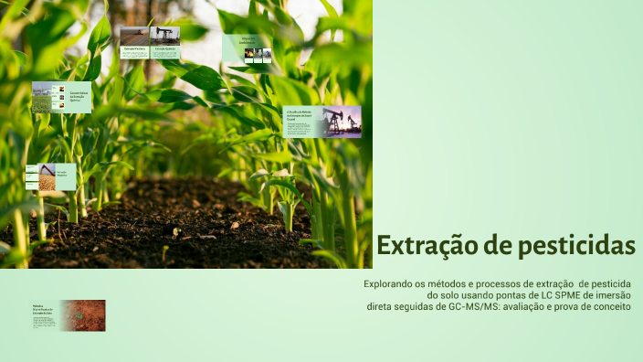 Tipos de Extração da Soja by INGRID ALFONSO FURTADO on Prezi