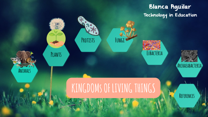 Kingdom of Living Things by Blanca Aguilar on Prezi